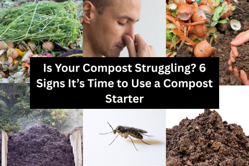 Blog – Tagged "backyard composting"– Earth Smart Solutions - Environmental Solutions Provider