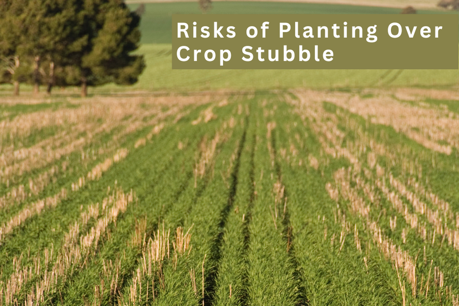 Understanding the Risks of Planting Over Crop Stubble: Best Practices ...