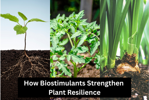 Boost Plant Resilience with Biostimulants | Earth Smart – Earth Smart ...