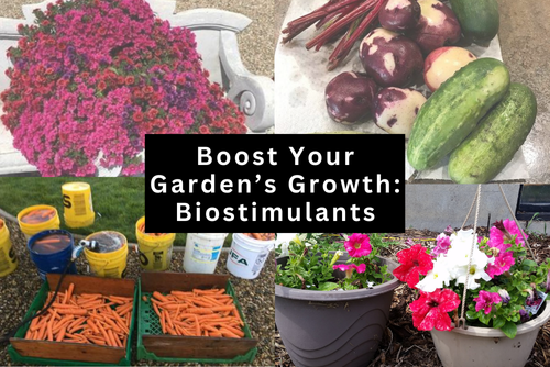 Boost Your Garden’s Growth: How Biostimulants Enhance Germination, Flo ...