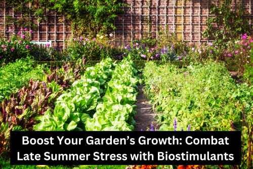 Boost Garden Growth: Reduce Late Summer Stress with Biostimulants ...