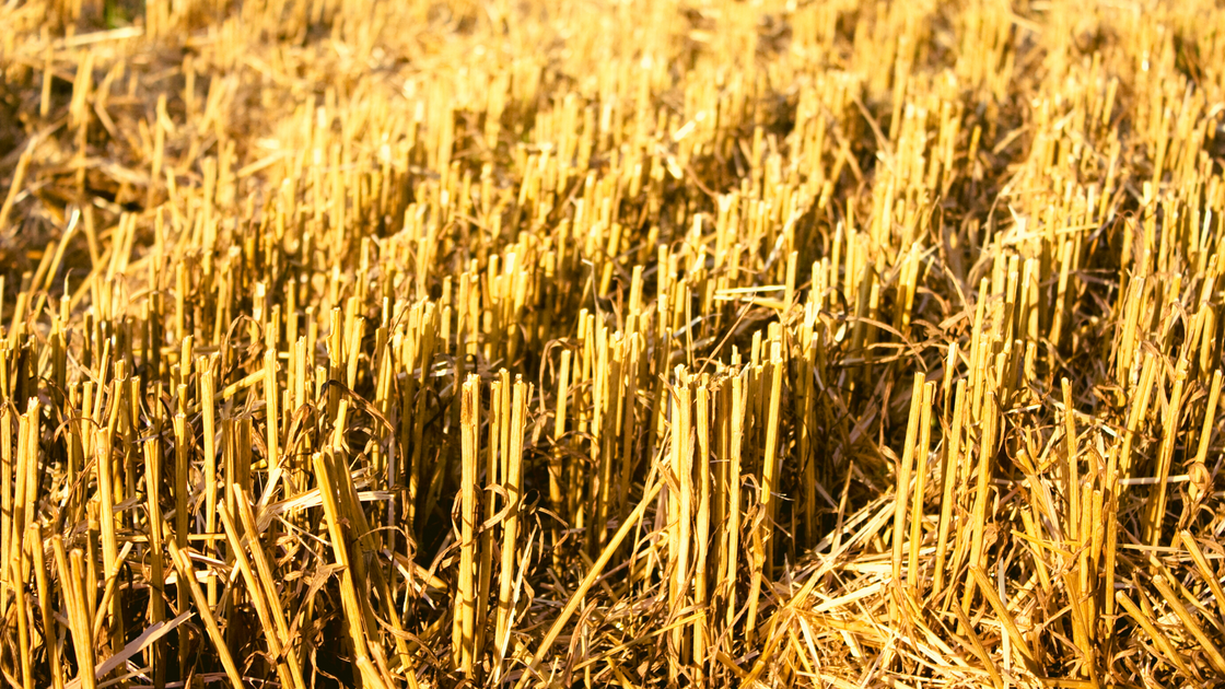 March Product Feature: Stubble & Trash Digester – Earth Smart Solutions ...