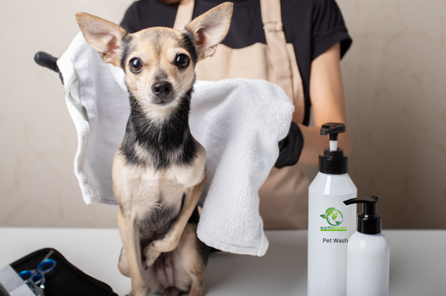 Protecting Your Pets and the Planet: The Benefits of Using Eco-Friendl ...