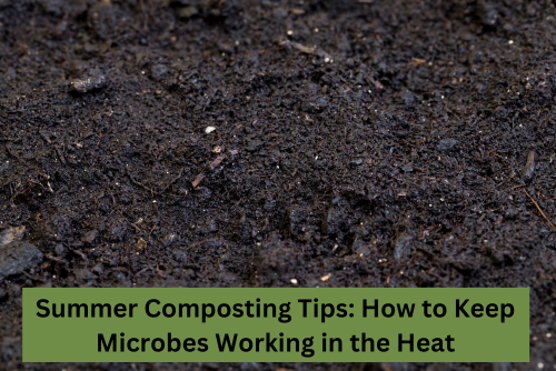 Summer Composting Tips: How to Keep Microbes Working in the Heat ...
