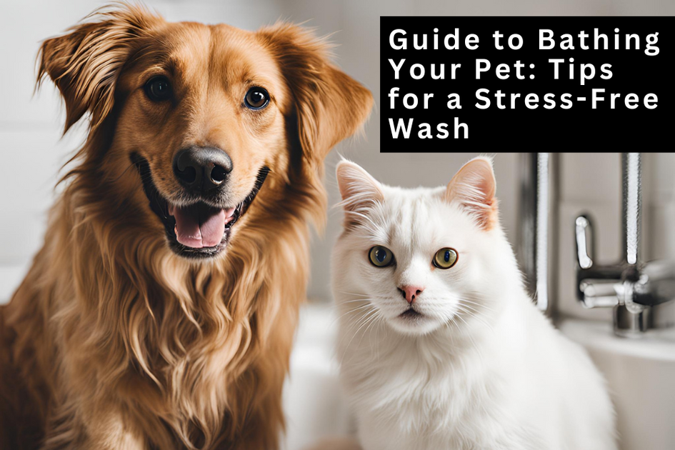 Comprehensive Guide to Bathing Your Pet: Tips for a Stress-Free Wash ...