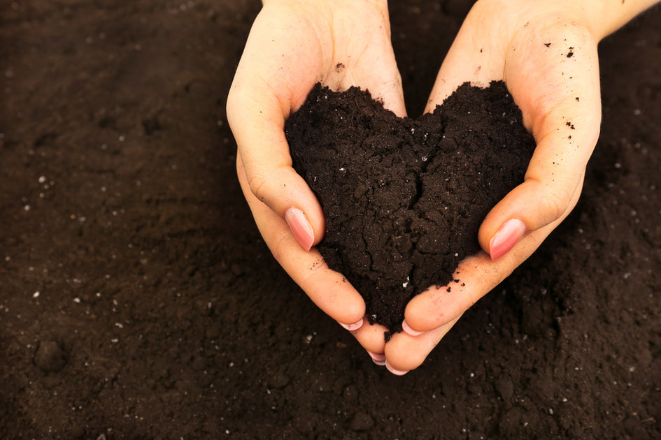 Humic Acid and It's Amazing Benefits – Earth Smart Solutions ...