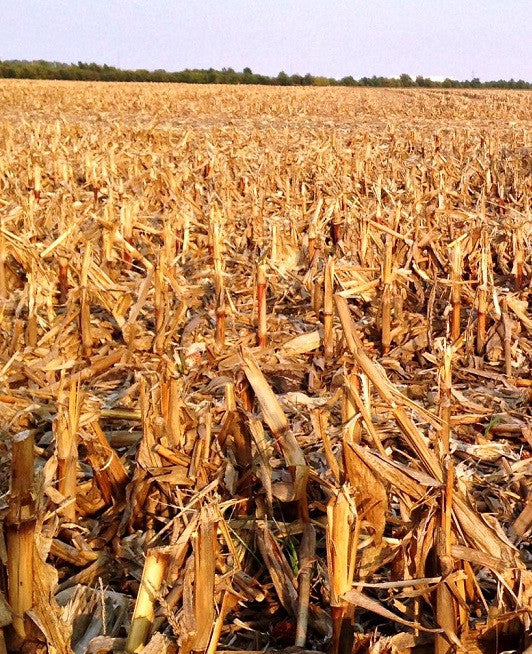 Energize - Stubble & Trash Digester – Earth Smart Solutions ...